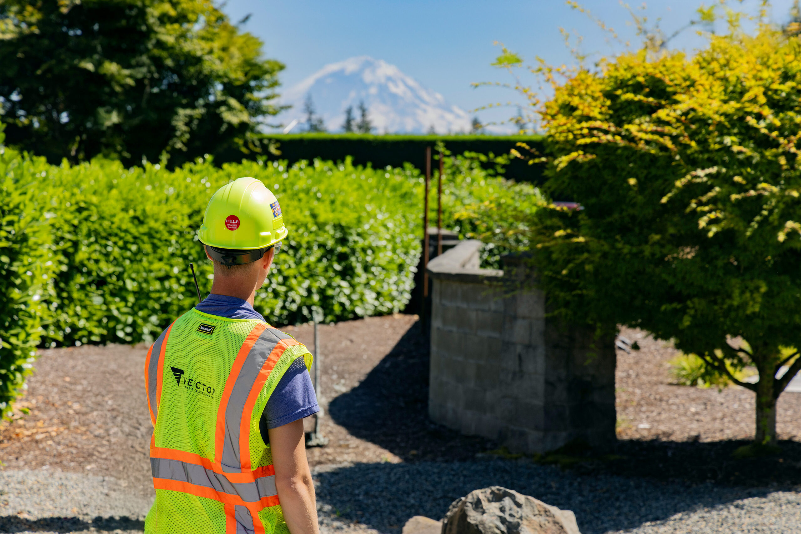 About Us – Vector Force Development